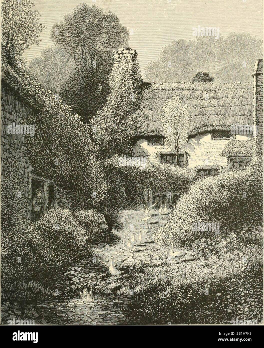 "American painters: with eighty-three examples of their work engraved ...