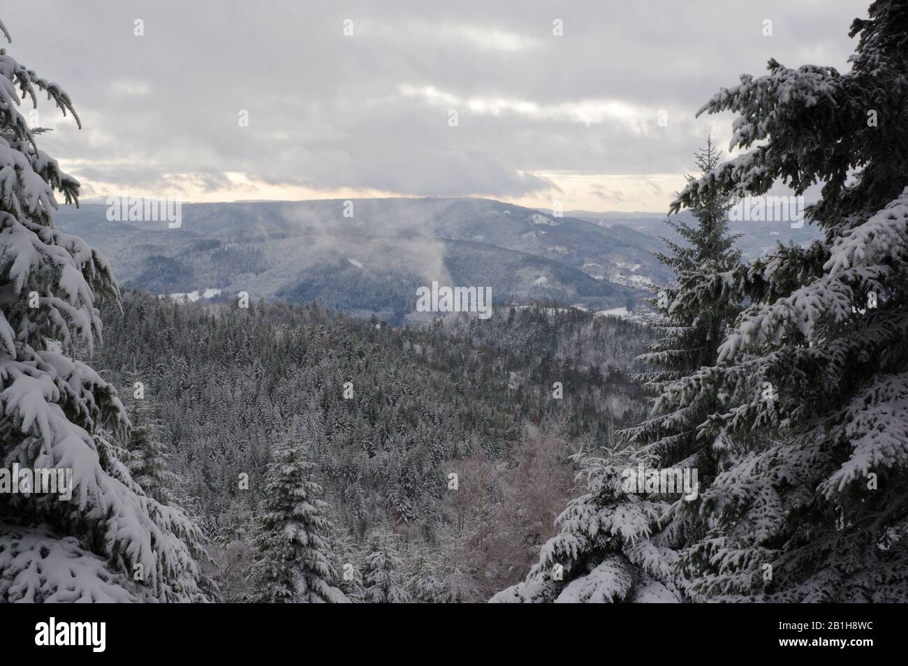 Fossard hi-res stock photography and images - Alamy