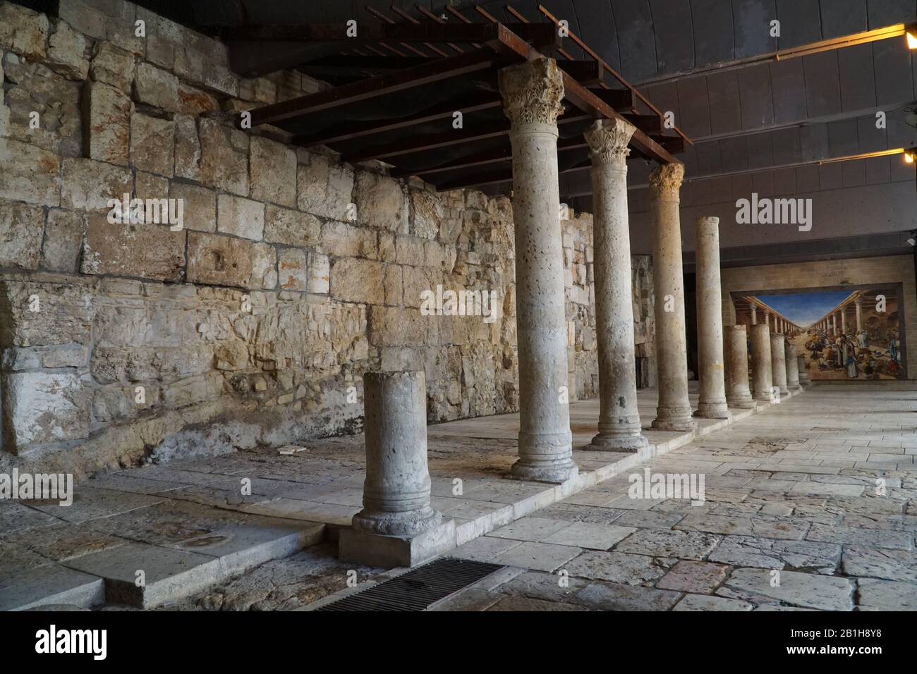 Cardo hi-res stock photography and images - Alamy