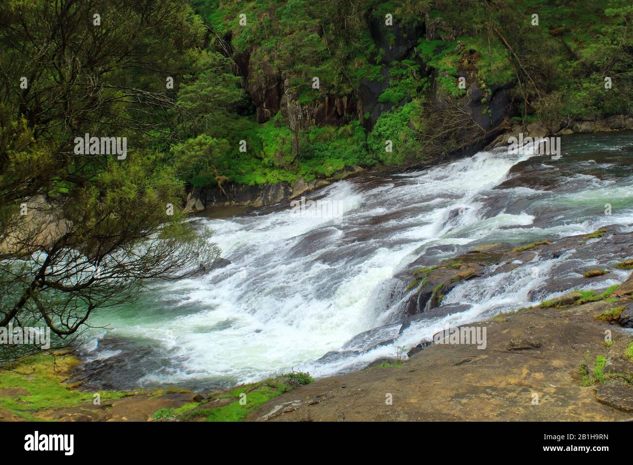 beautiful pykara waterfalls surrounded by greenery in ooty hill station ...