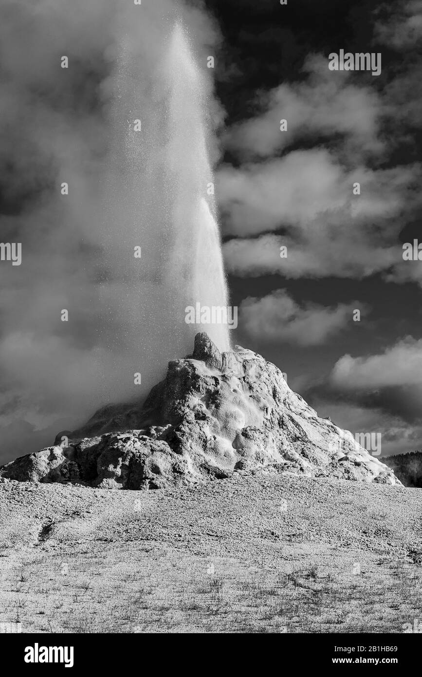Geyser erupting and shooting a water jet into the dark sky Stock Photo ...