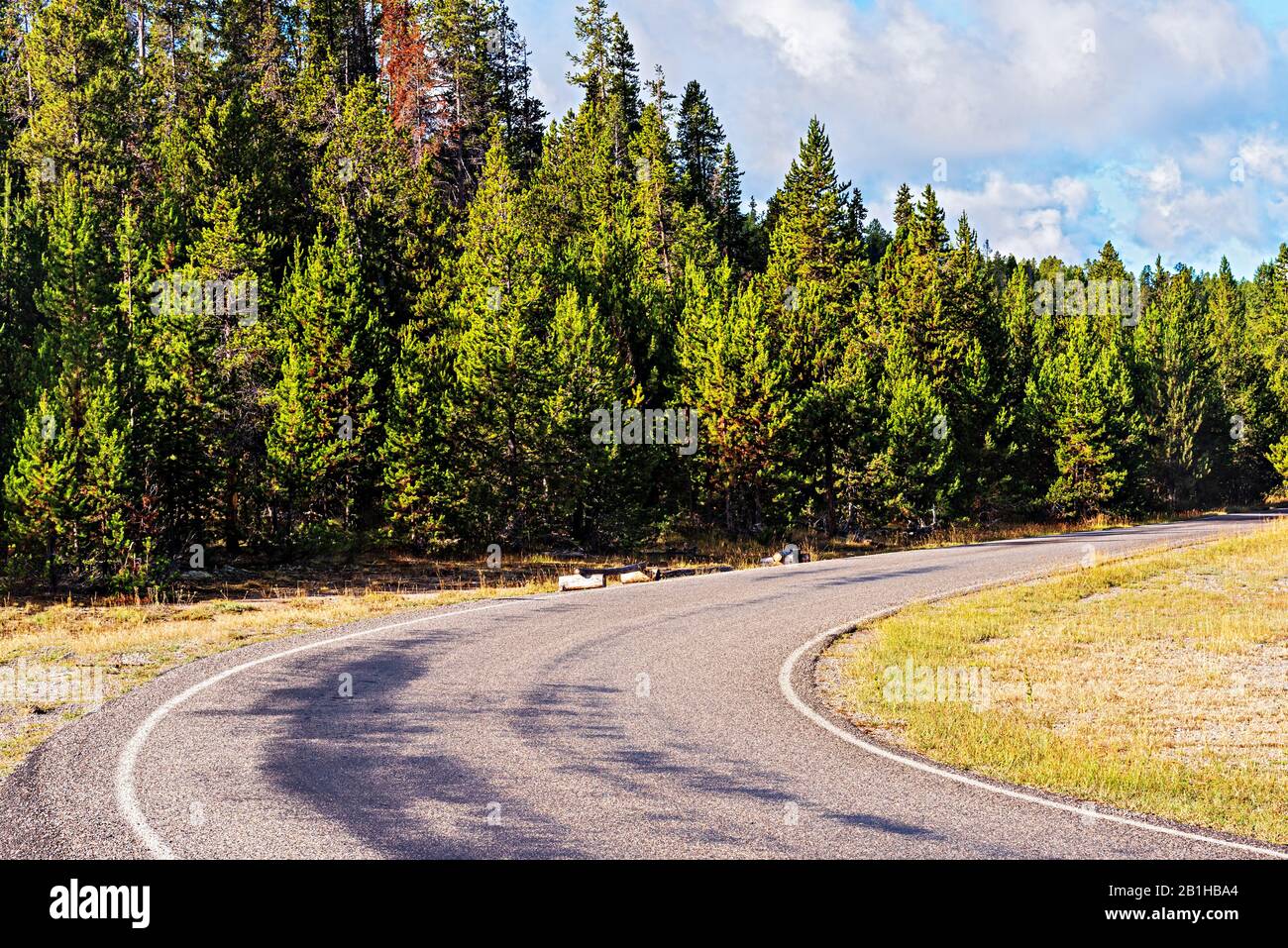 Narrow paved road curving into green forest Stock Photo - Alamy