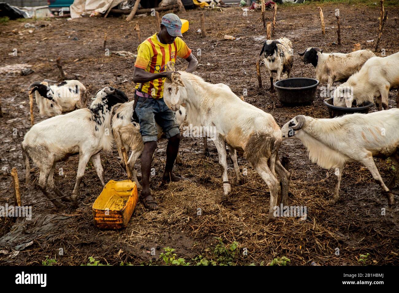 Nigerian market hi-res stock photography and images - Alamy