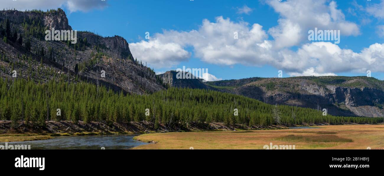 No make required here in the Northwest countryside. Green forest, fresh ...