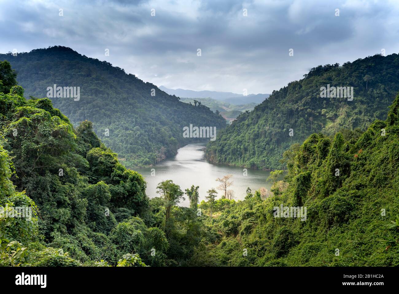 Beautiful natural scenery of river in southeast Asia tropical green ...