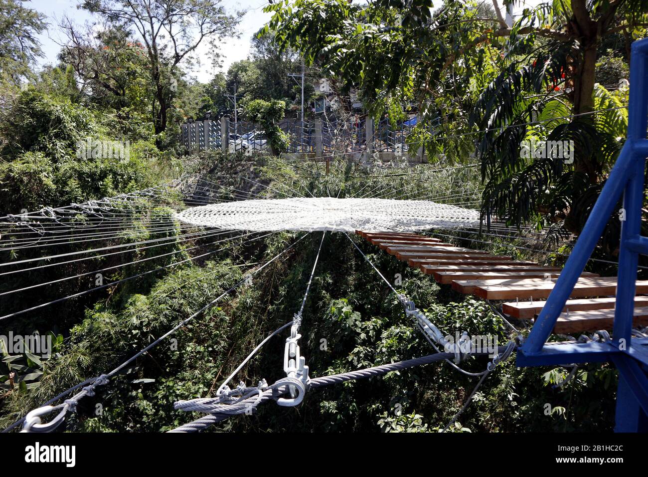Bridge spider hanging in its web hi-res stock photography and images ...
