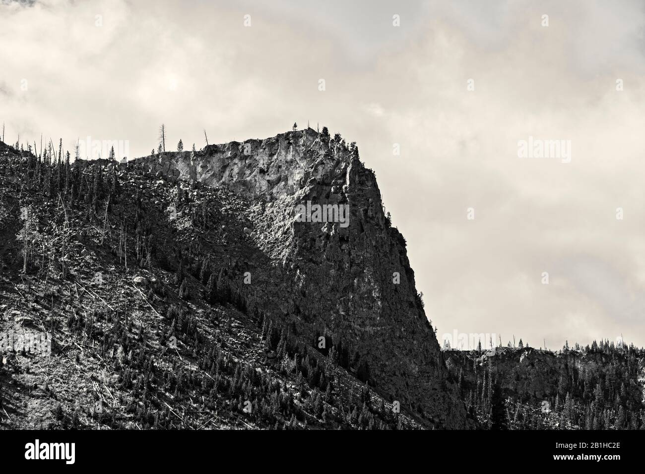 Steep rocky cliff, with pines trees on slopes of either side Stock ...