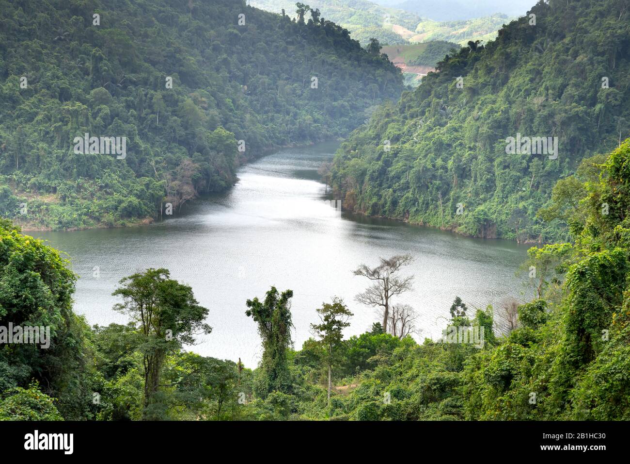 Beautiful natural scenery of river in southeast Asia tropical green ...