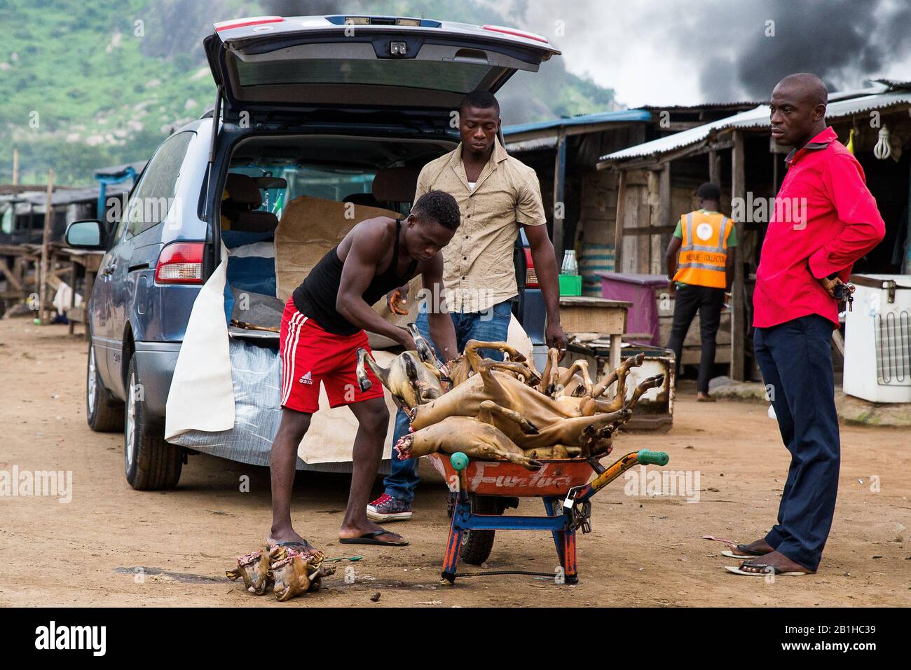 Goat meat processing in Gudu, Abuja, Nigeria Stock Photo - Alamy