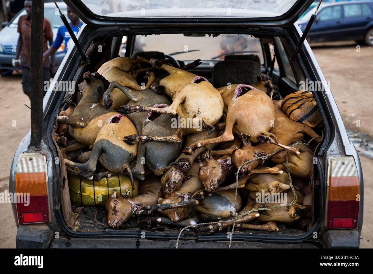 Goat Meat Processing High Resolution Stock Photography and Images - Alamy