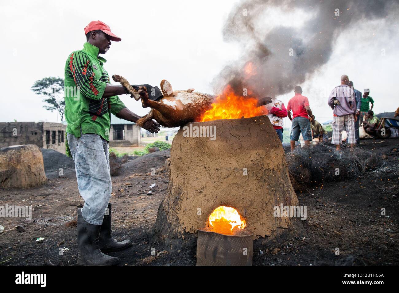 Goat Meat Processing High Resolution Stock Photography and Images - Alamy