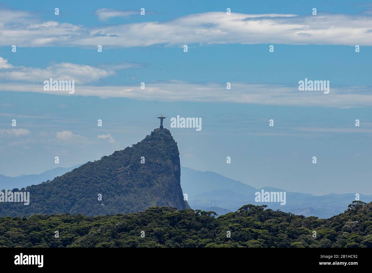Tijuca forest national park trail hi-res stock photography and images ...