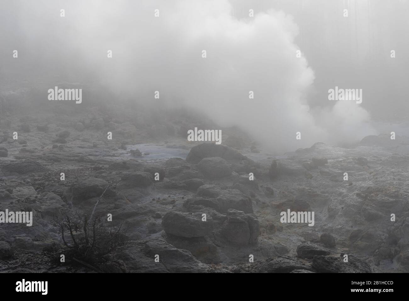 Obnoxious Gases High Resolution Stock Photography and Images - Alamy