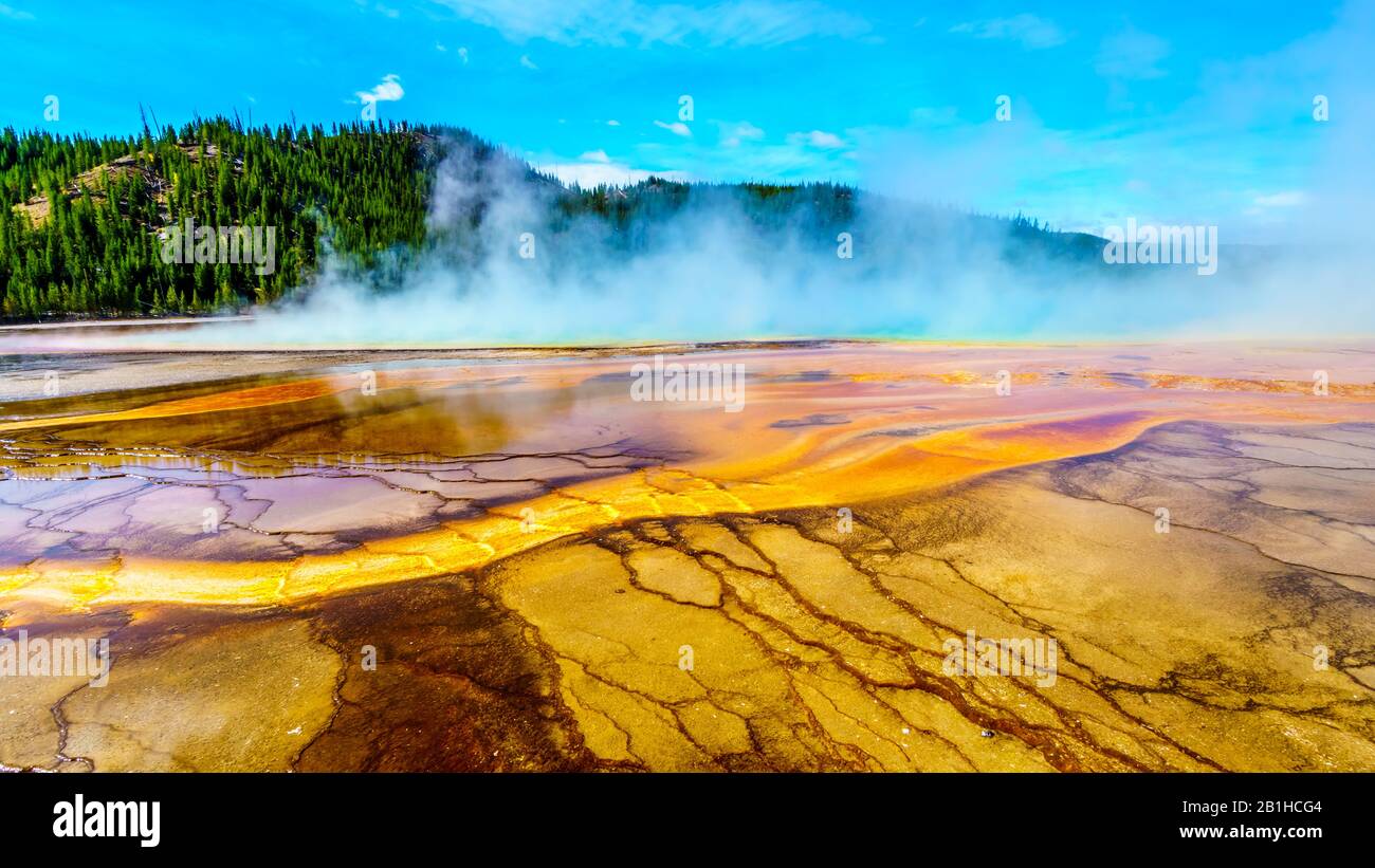 Bacterial mat hi-res stock photography and images - Alamy