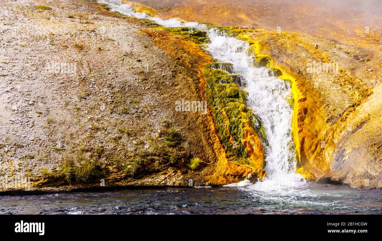 Archaea bacteria hi-res stock photography and images - Alamy