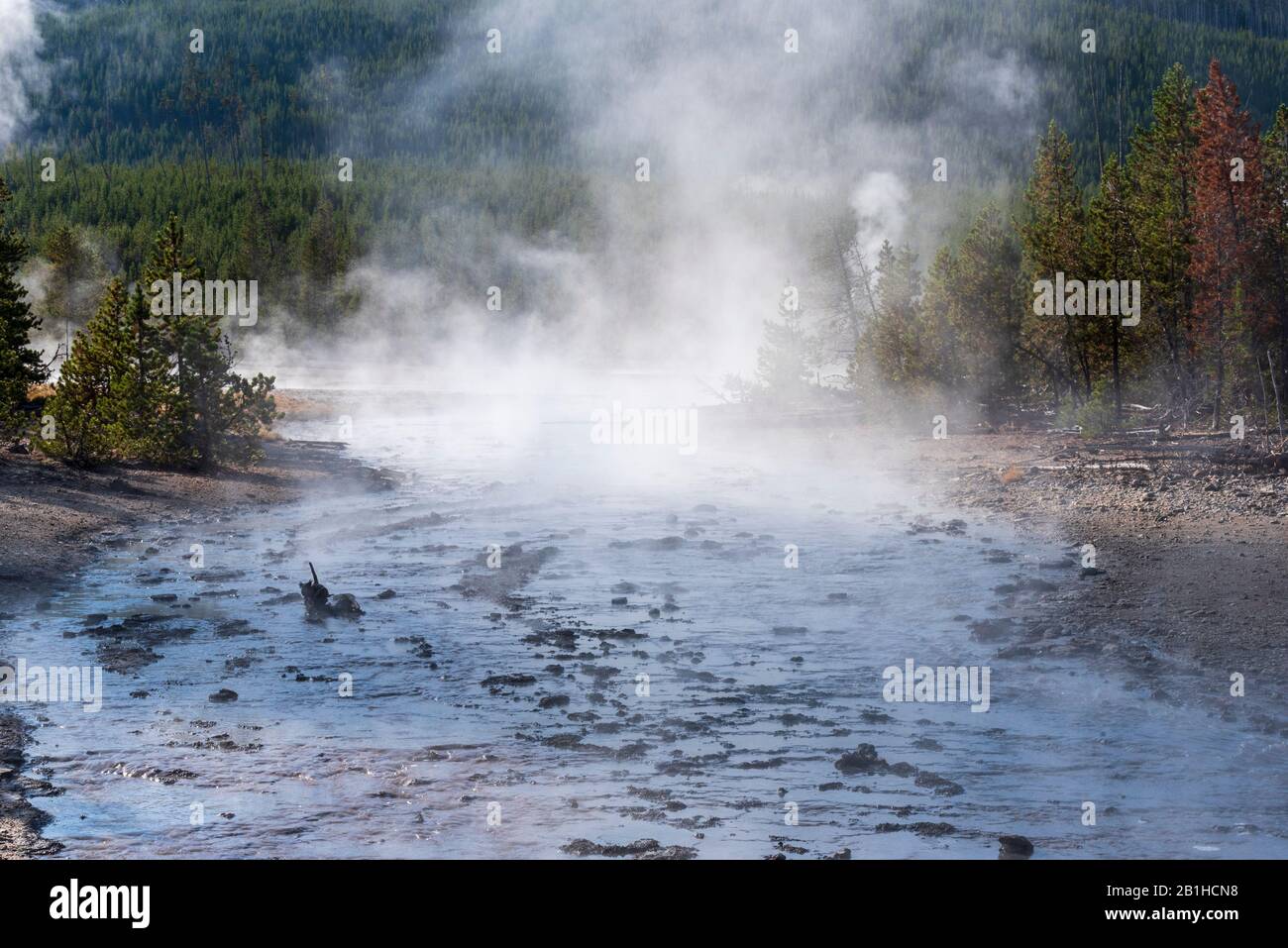 River running into hot springs and green forest Stock Photo - Alamy