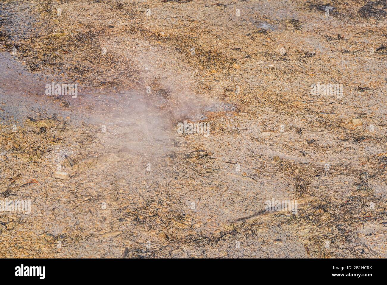Brown grainy dirt, soil, background Stock Photo - Alamy