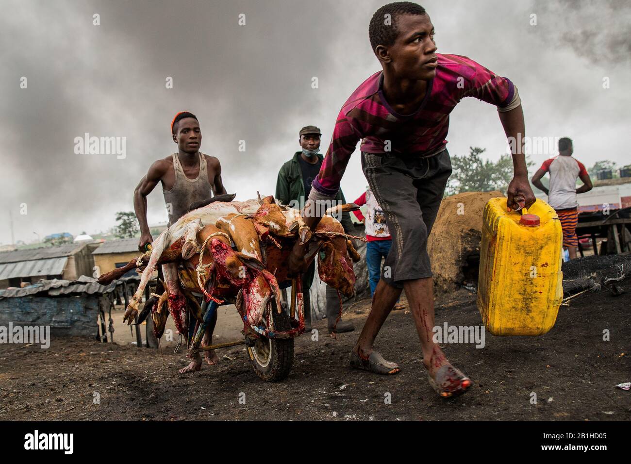 Goat meat processing in Gudu, Abuja, Nigeria Stock Photo - Alamy