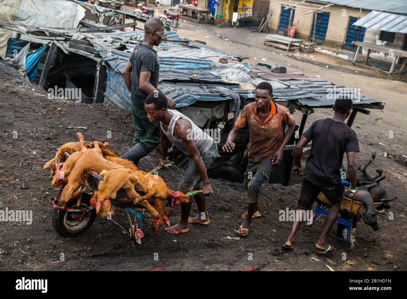 Goat meat processing in Gudu, Abuja, Nigeria Stock Photo - Alamy