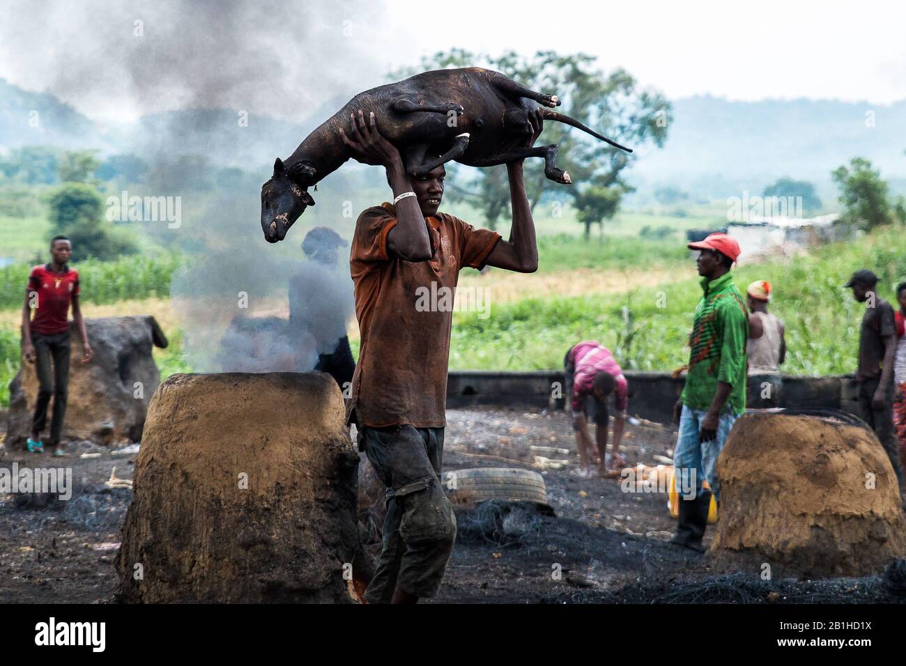 Goat Meat Processing High Resolution Stock Photography and Images - Alamy
