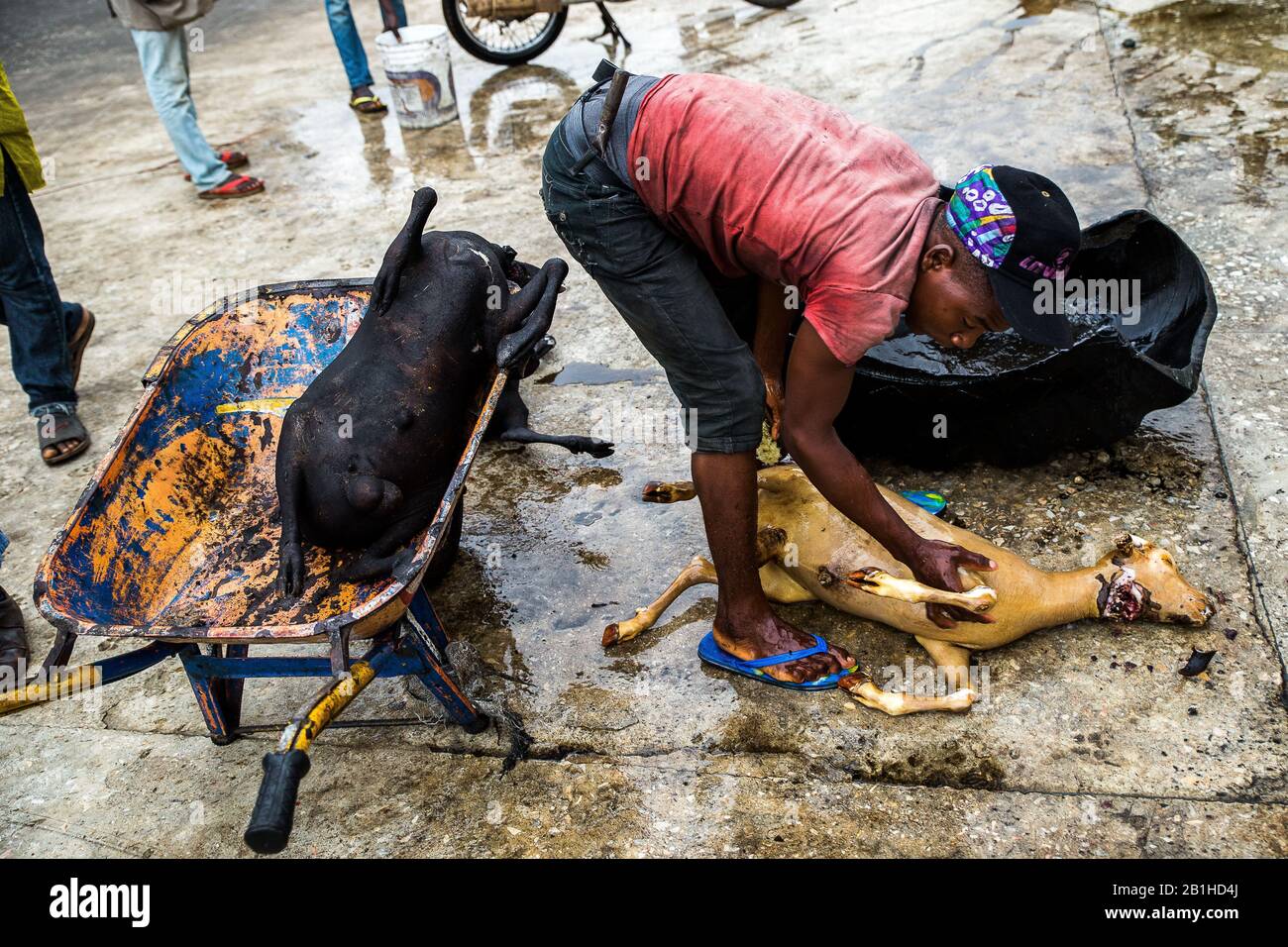 Goat meat processing in Gudu, Abuja, Nigeria Stock Photo - Alamy