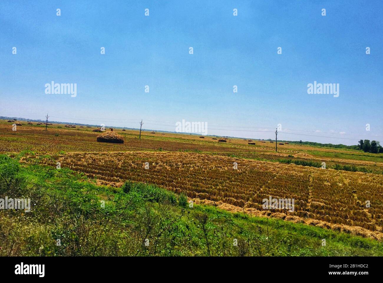 Nature (Farming lands Stock Photo - Alamy