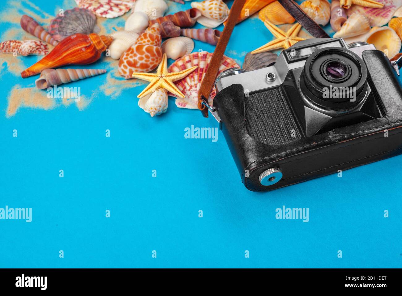 Sea shells and starfish and camera. Creative photo Stock Photo - Alamy
