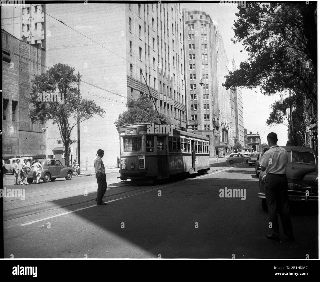 Sydney trams old hi-res stock photography and images - Alamy