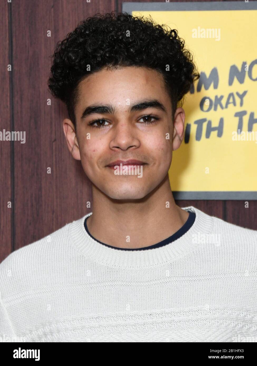 25 February 2020 - West Hollywood, California - Amir Wilson. Netflix's ...