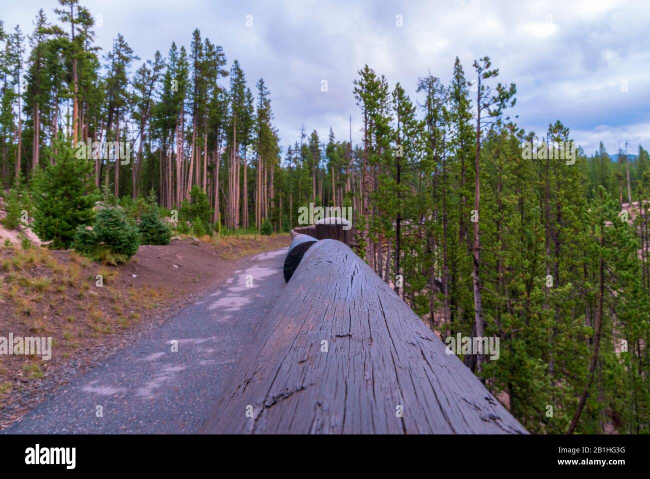 Paved pathway hi-res stock photography and images - Alamy
