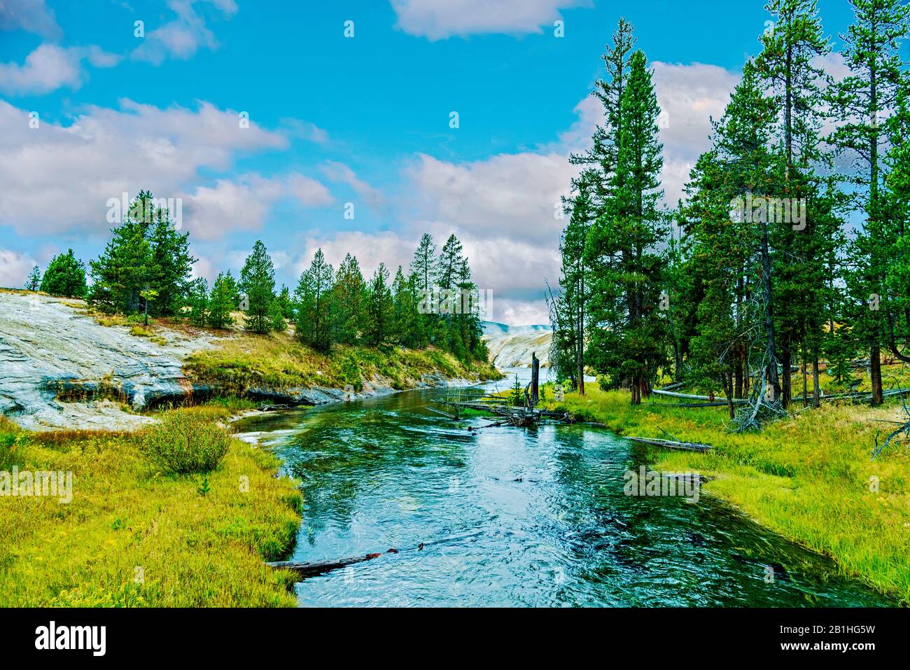 River running through meadows and tall green pine trees under a blue ...