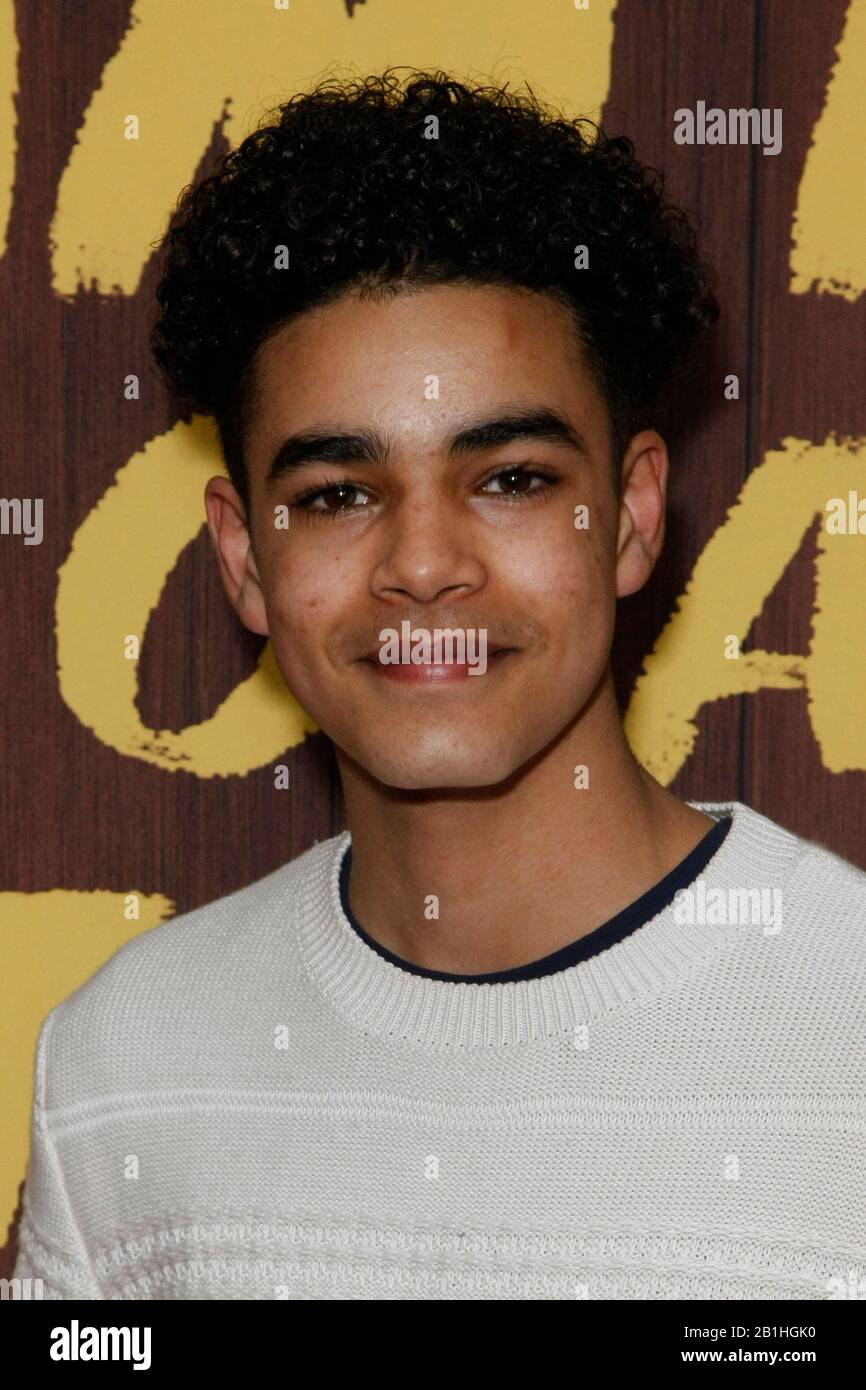 Hollywood, California, USA. 25th Feb, 2020. Amir Wilson attends Netflix ...