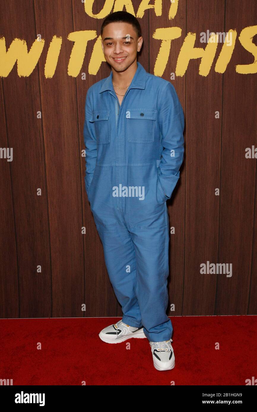 Hollywood, California, USA. 25th Feb, 2020. Jason Genao attends Netflix ...