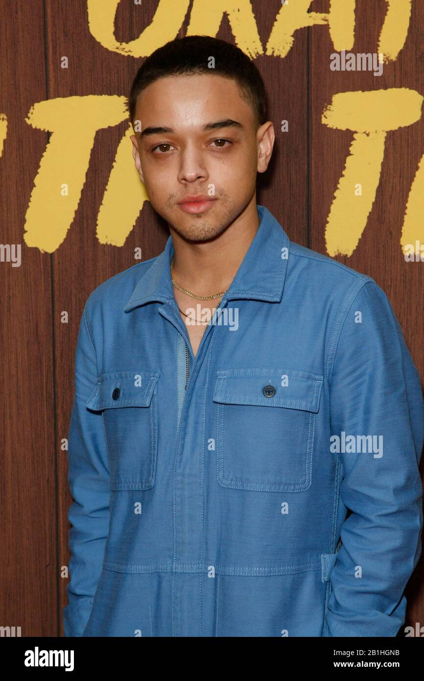 Hollywood, California, USA. 25th Feb, 2020. Jason Genao attends Netflix ...