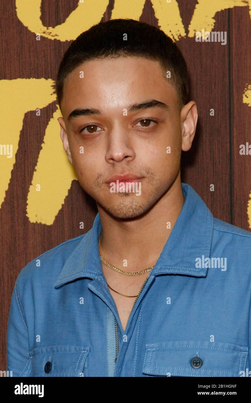 Hollywood, California, USA. 25th Feb, 2020. Jason Genao attends Netflix ...