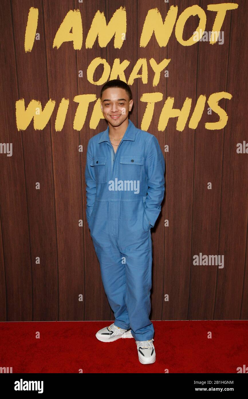 Hollywood, California, USA. 25th Feb, 2020. Jason Genao attends Netflix ...