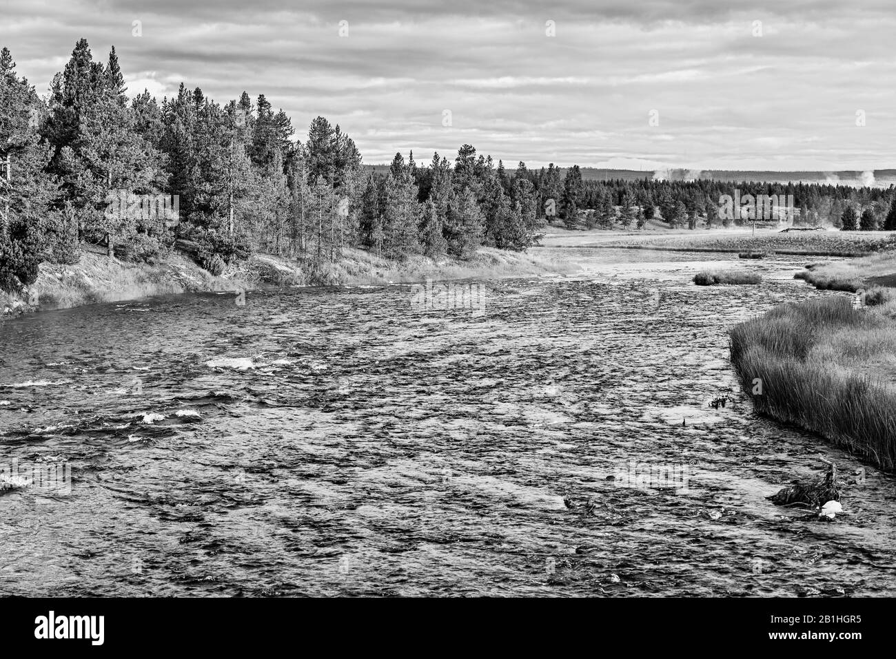 White river national forest summer Black and White Stock Photos ...