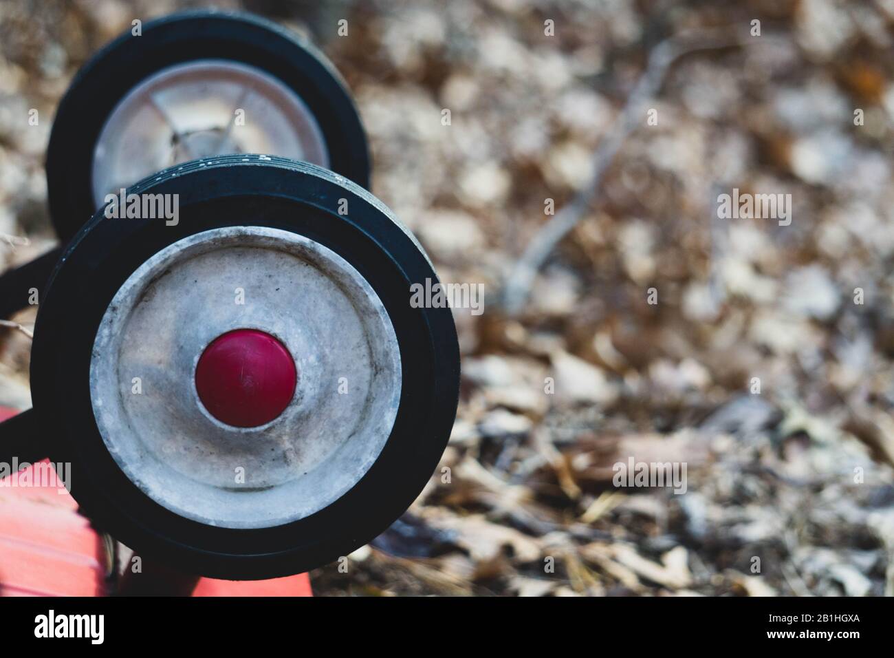 lost red carriage in woods Stock Photo - Alamy