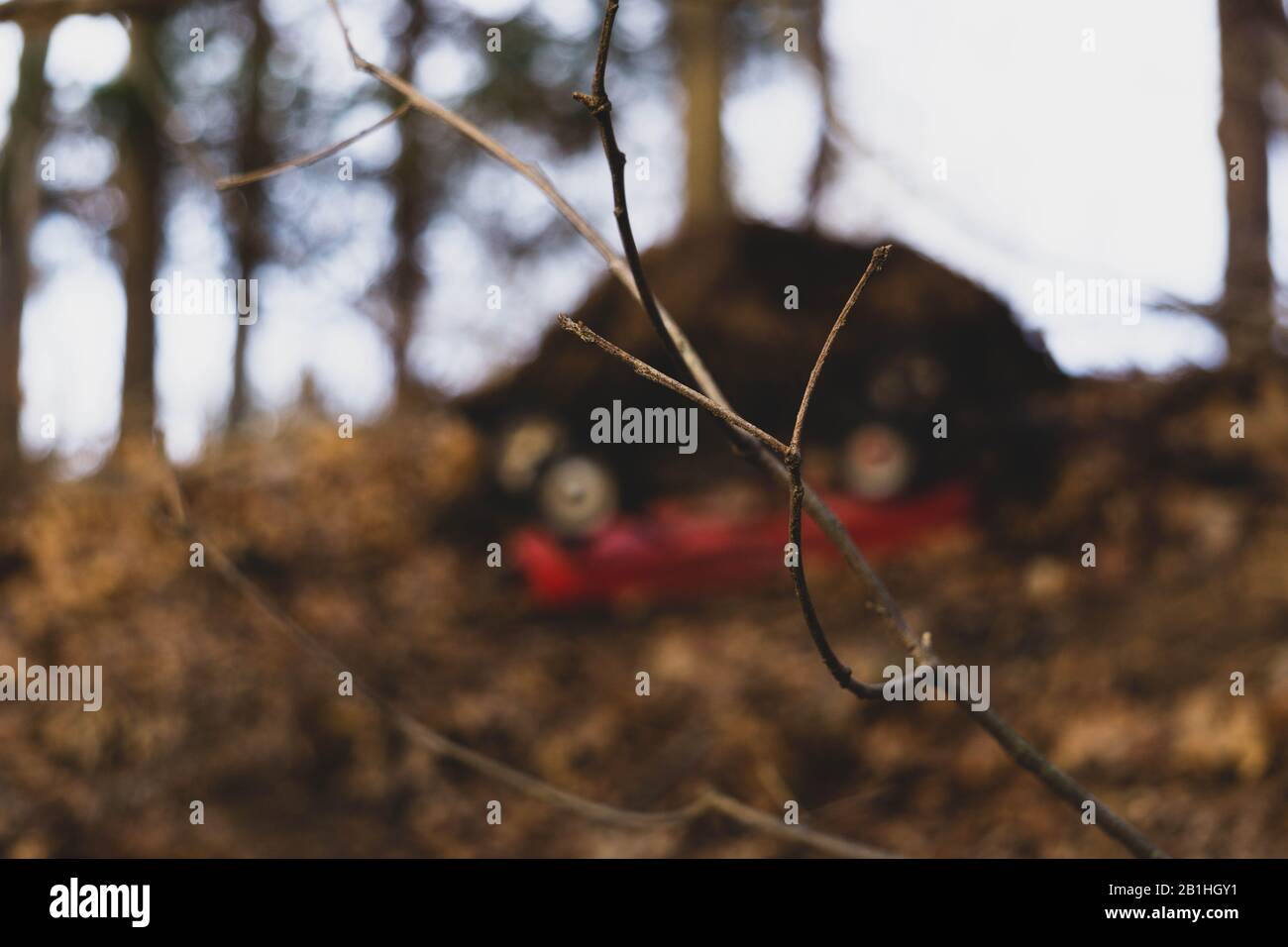 lost red carriage in woods Stock Photo - Alamy