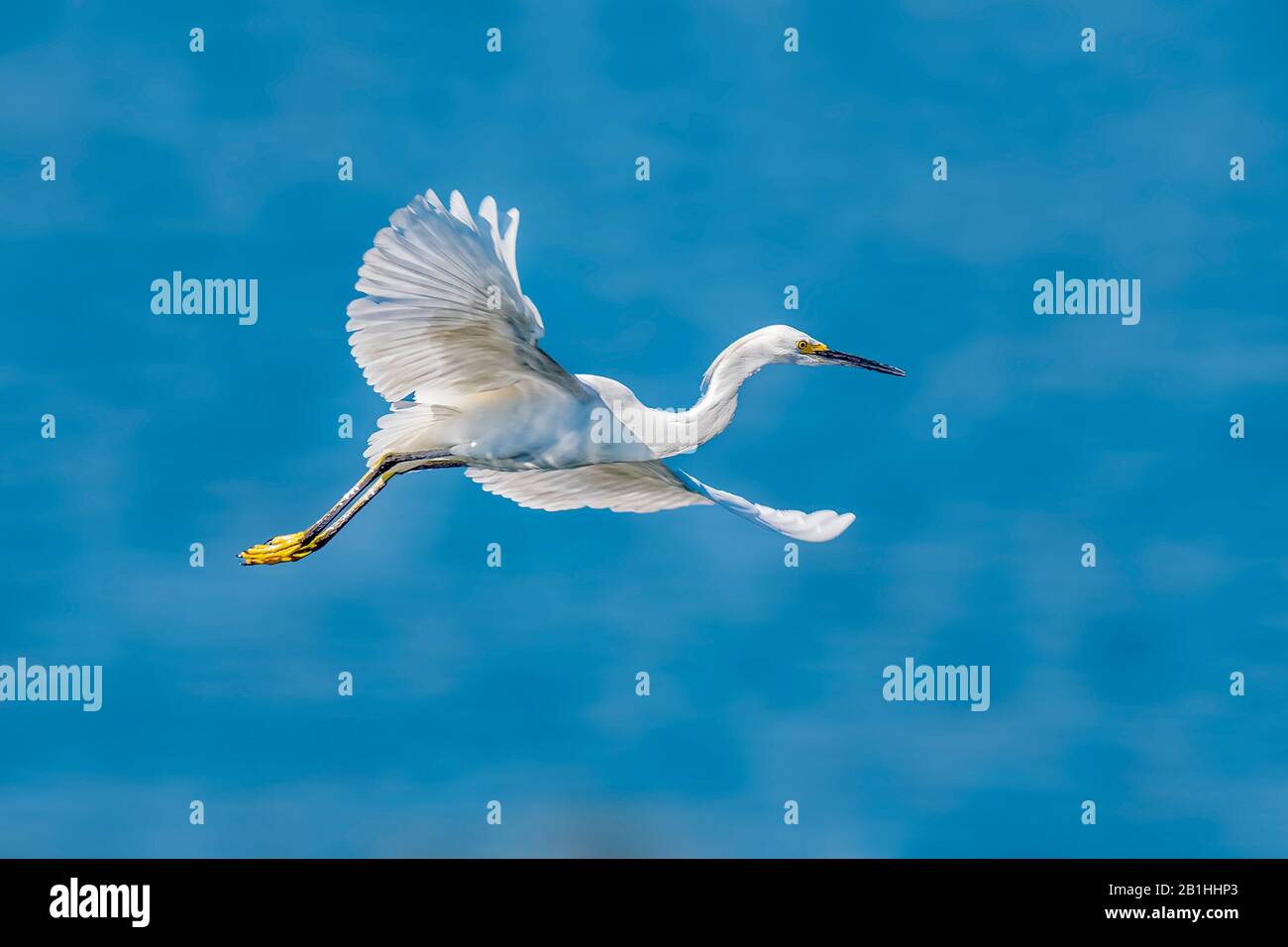Balboa landing hi-res stock photography and images - Alamy