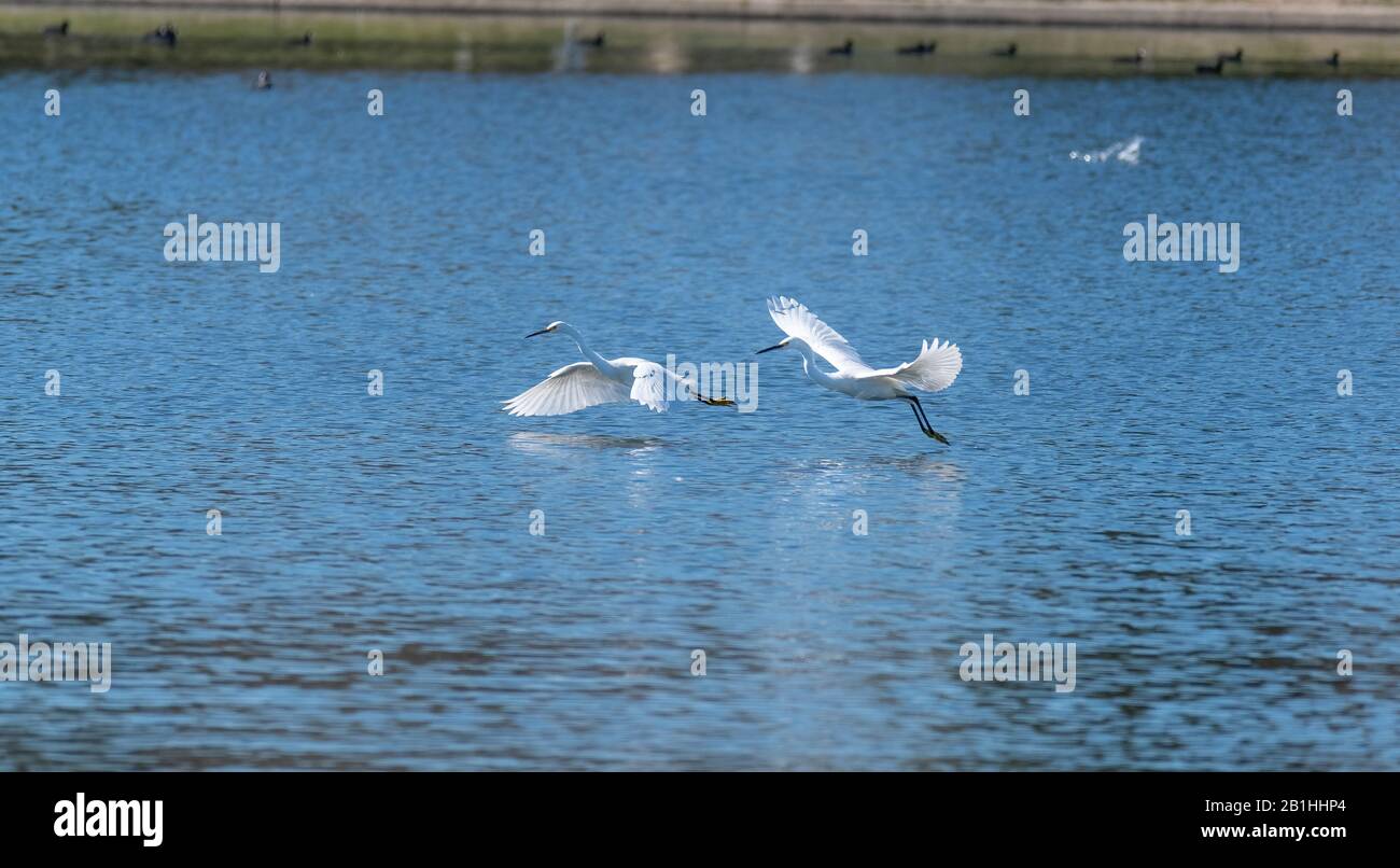 Balboa landing hi-res stock photography and images - Alamy