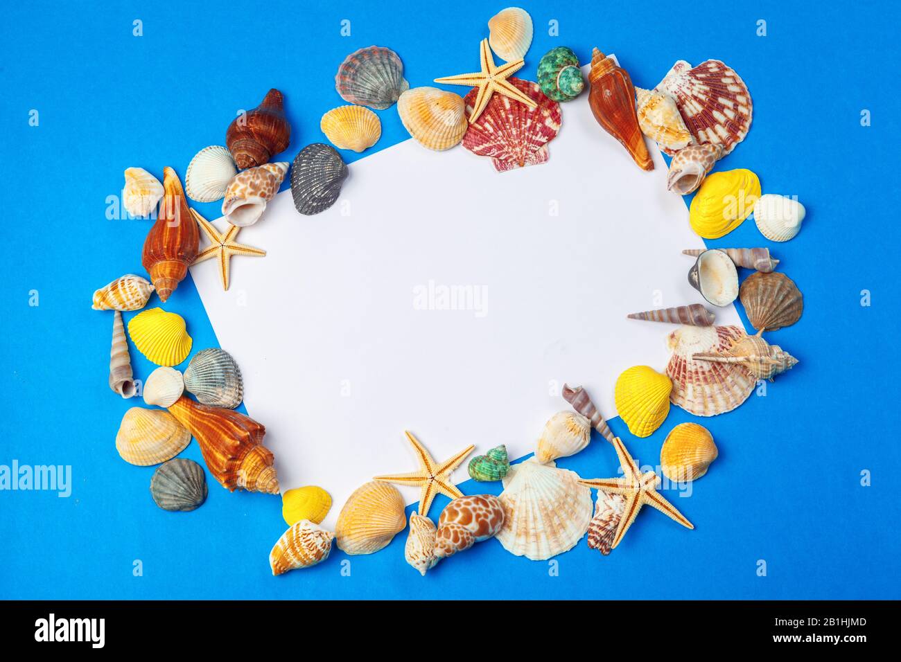 Flat lay. Top view. Frame of shells of various kinds on a blue ...