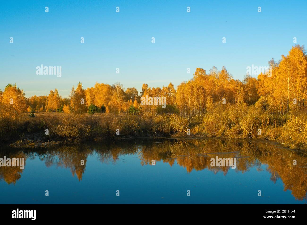 Amazing view of the colorful fall forest evening landscape with lake ...