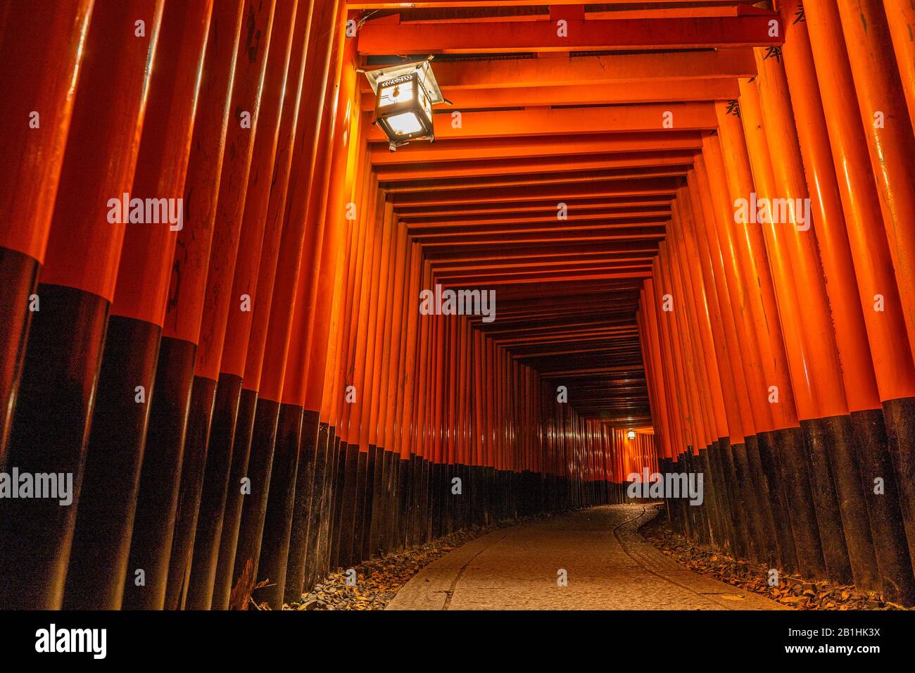 Scenic night view of the walking path of Fushimi Inari shrine with ...