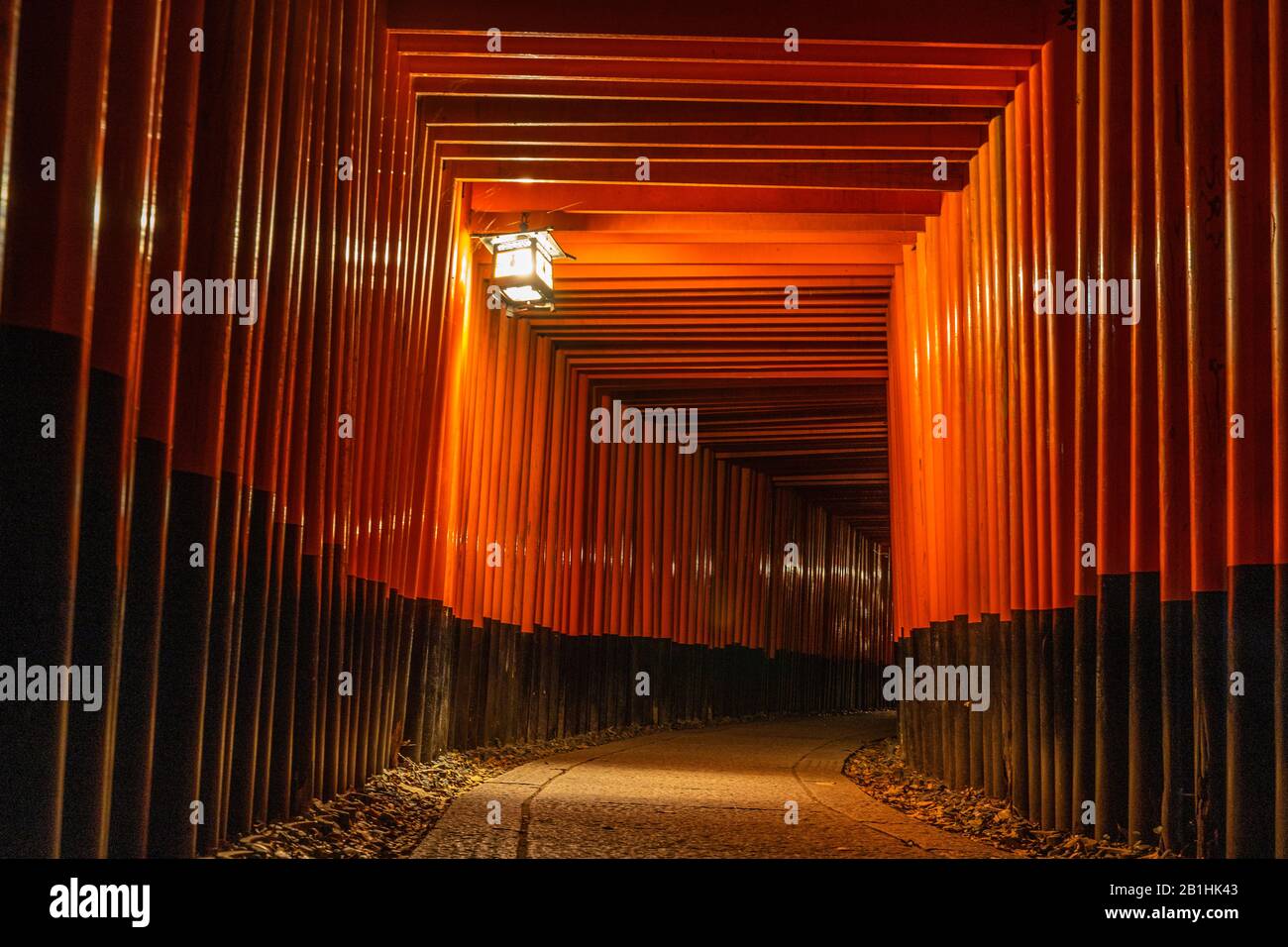 Scenic night view of the walking path of Fushimi Inari shrine with ...