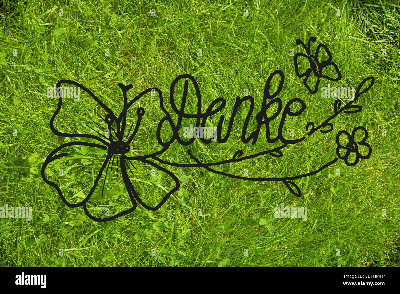 Green Grass Lawn Or Meadow, Calligraphy Danke Means Thank You Stock ...