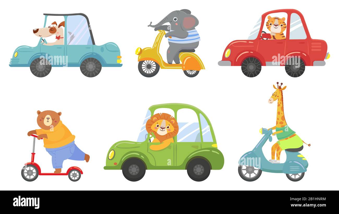 Funny Animals Driving Cars
