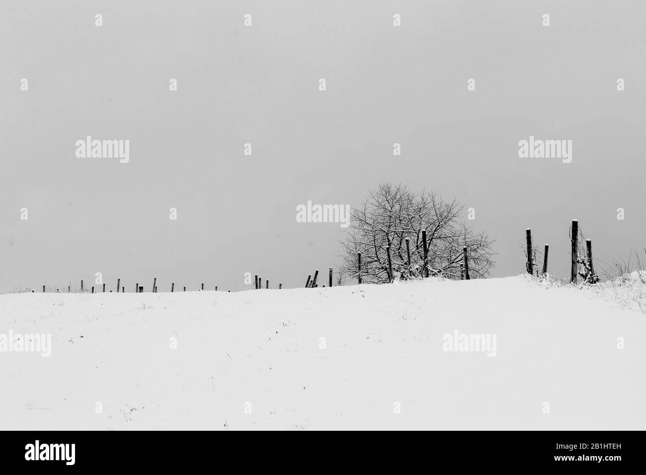 Vineyard winter Black and White Stock Photos & Images - Alamy