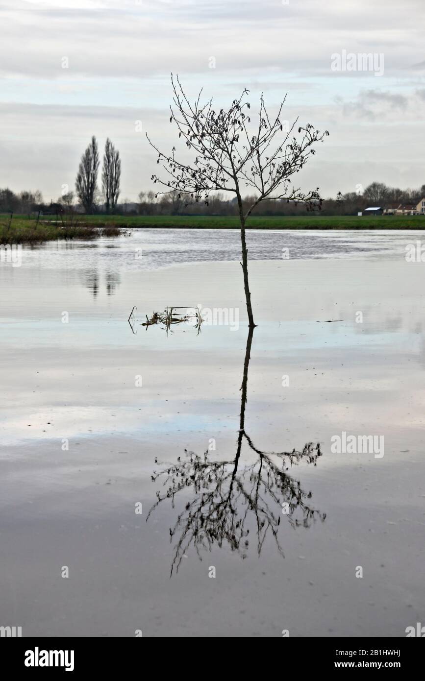 Parrett trail hi-res stock photography and images - Alamy