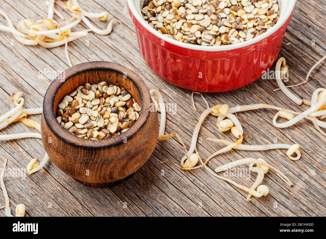 Sprouted moong bean hi-res stock photography and images - Alamy